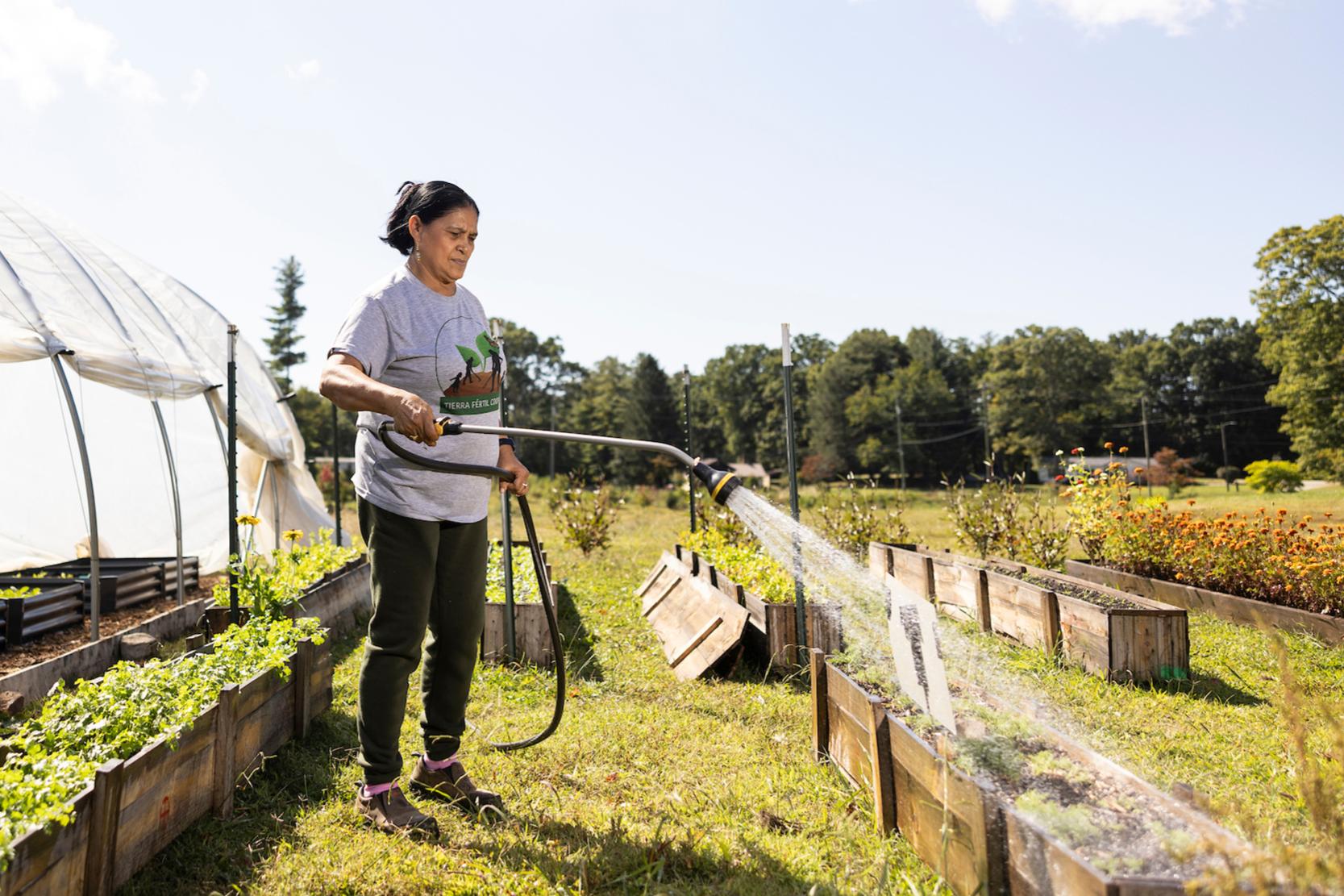 How cooperative change drives innovation, inclusion and sustainability