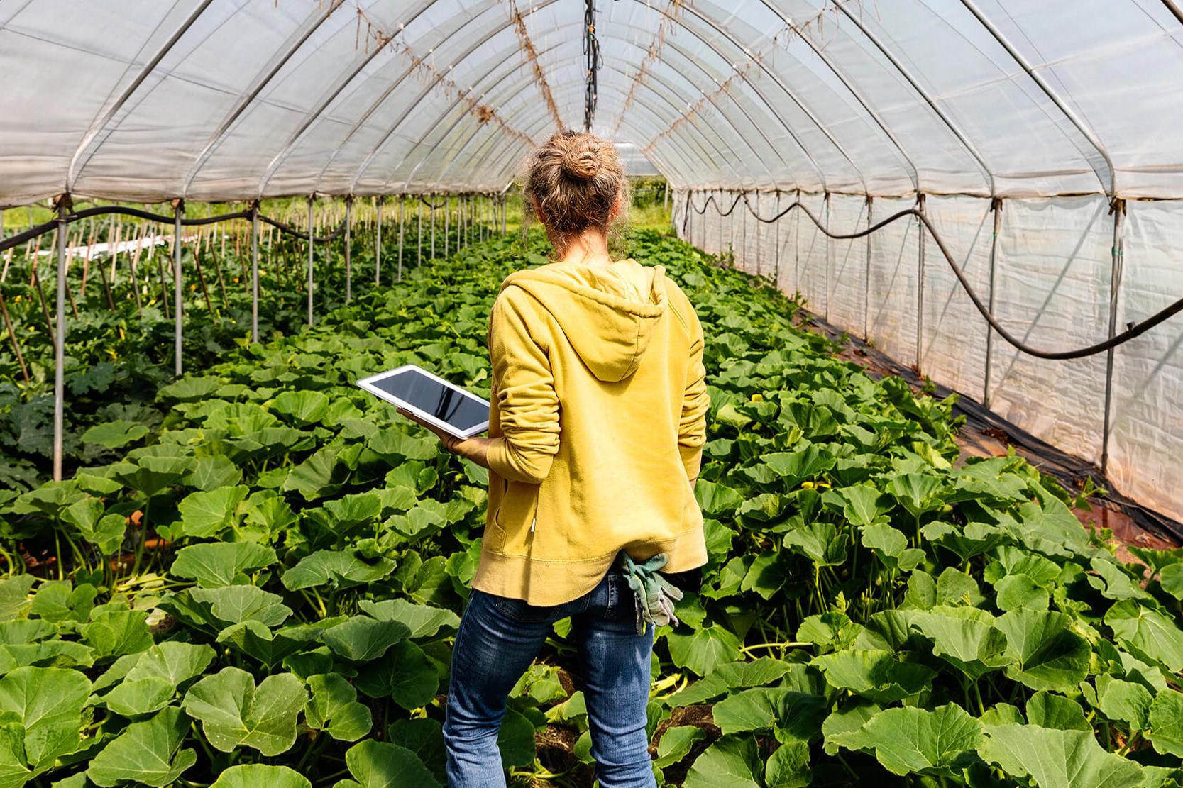 Rural America drives climate resilience with sustainable solutions